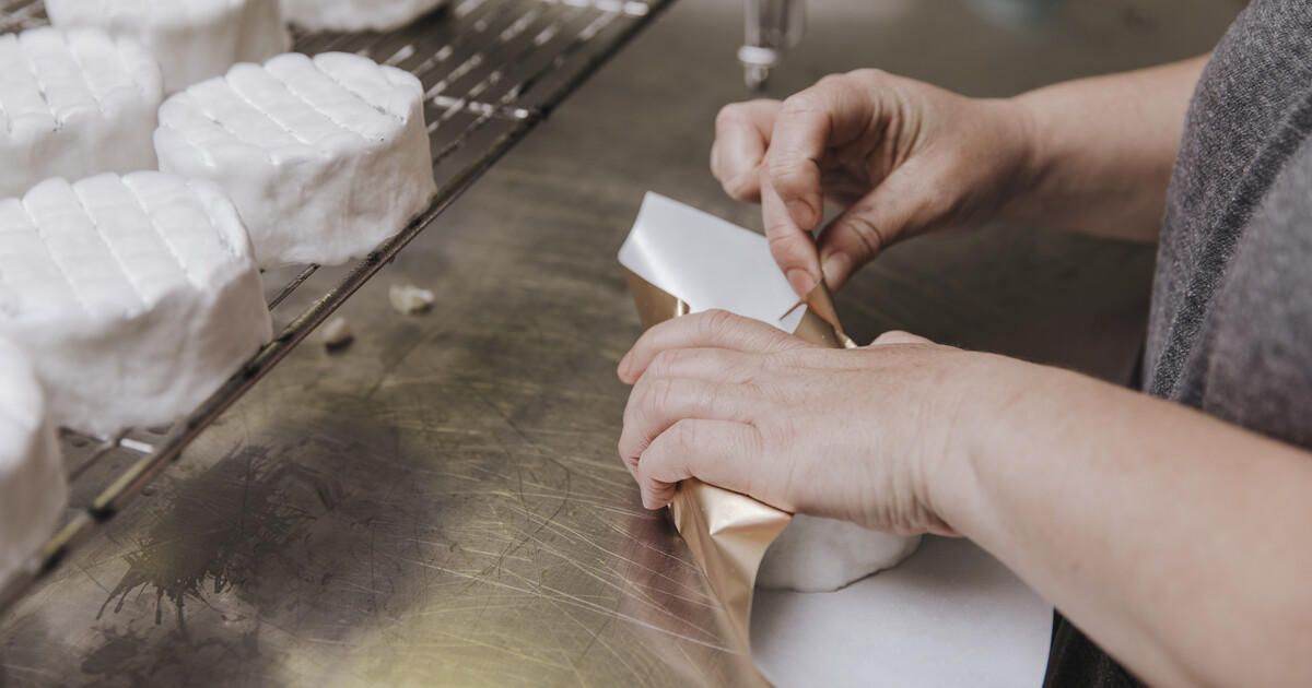Paddock to Plate, Teacher Guides | Dairy Australia