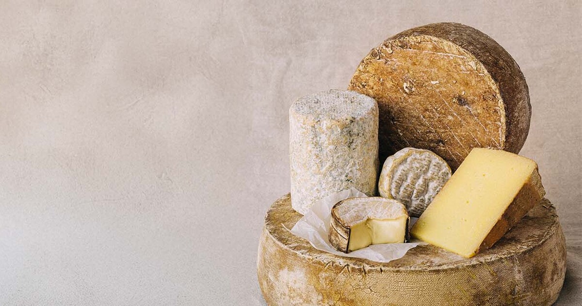 Long Paddock Cheese | Dairy Destinations