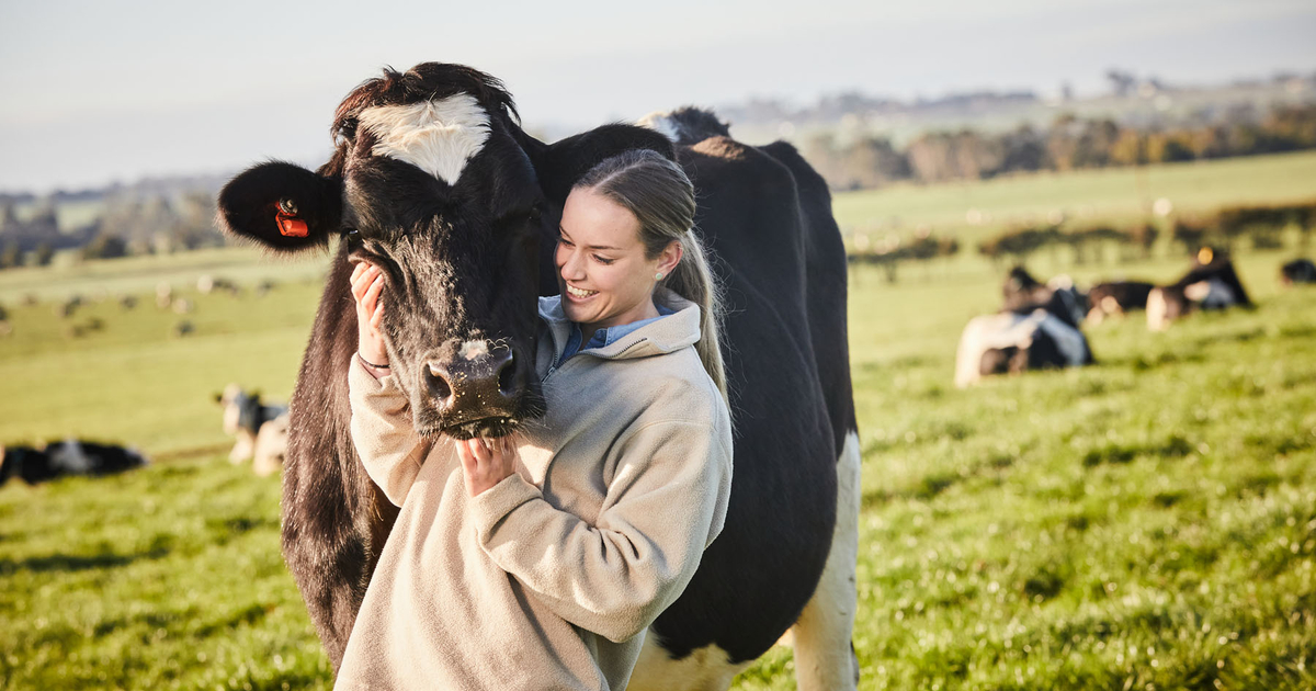 Working with Animals | Dairy Australia